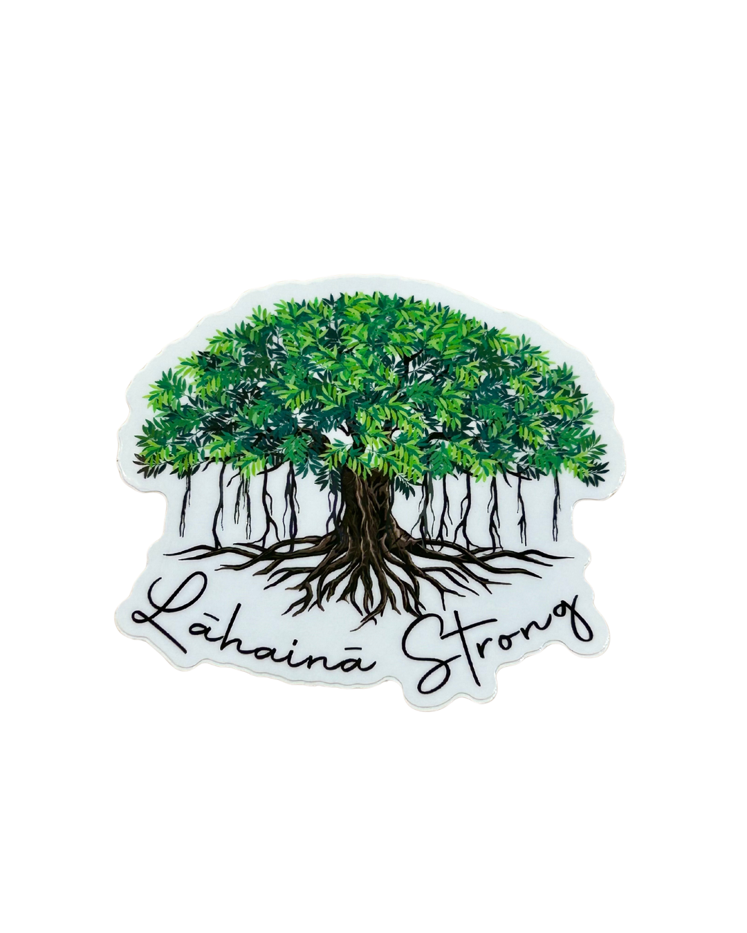 Lahaina Strong Banyan Tree Sticker - Pakaloha Bikinis